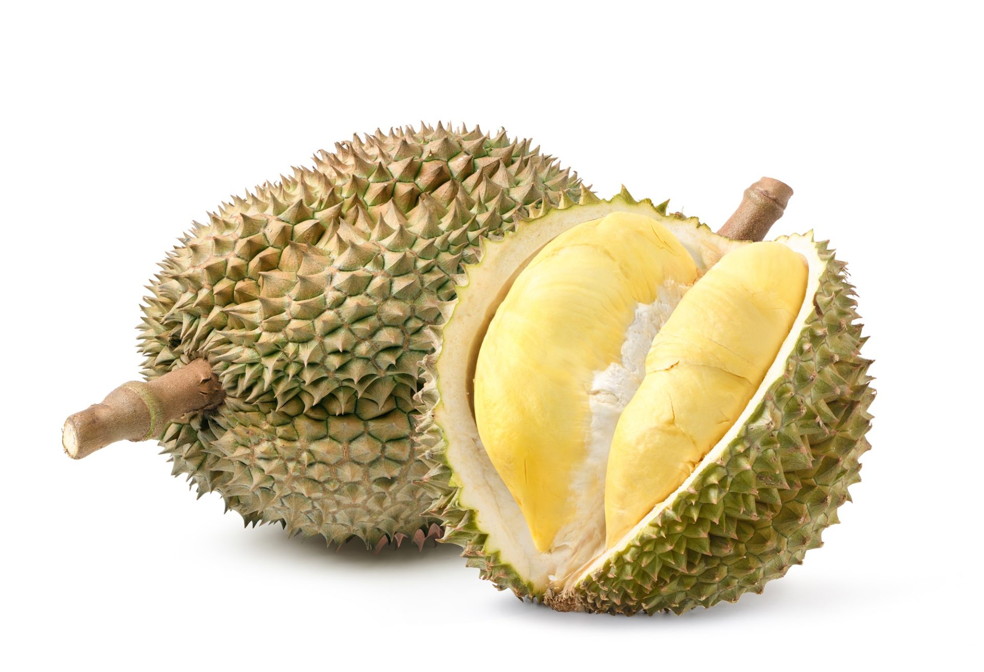 Fresh Durian - Trinityvietnam